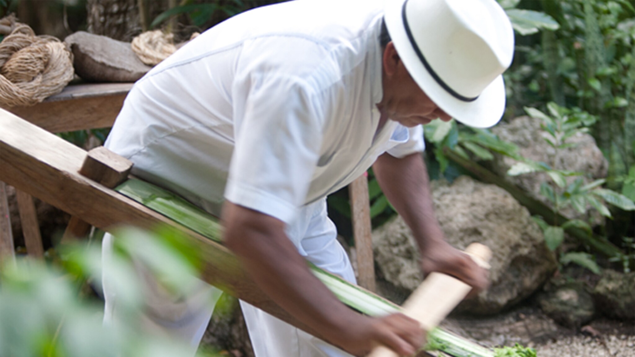 Mayan Culture Guided Tour | Disney Cruise Line