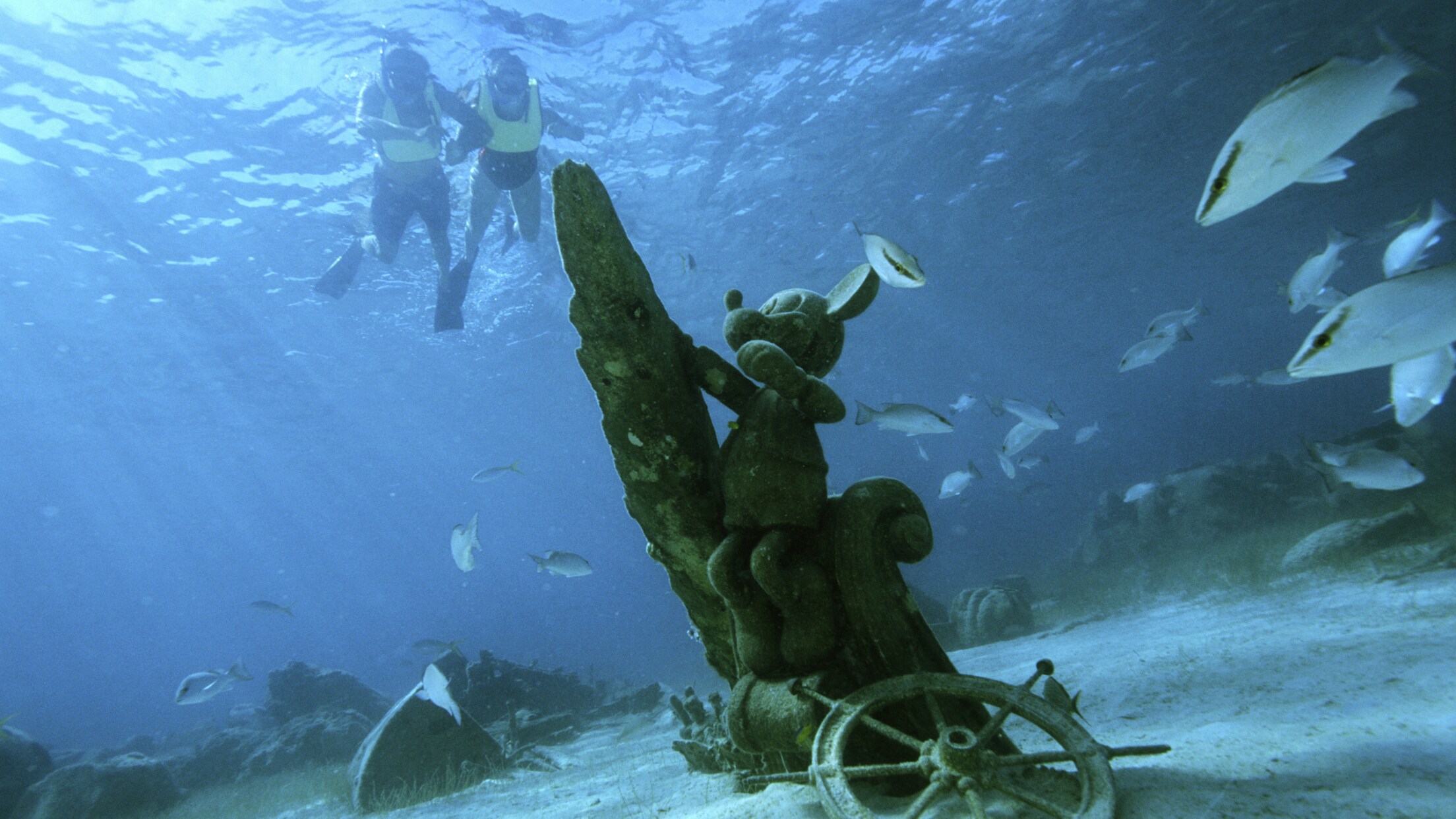 Castaway Cay Stingray, Bike and Snorkel Package | Disney Cruise Line