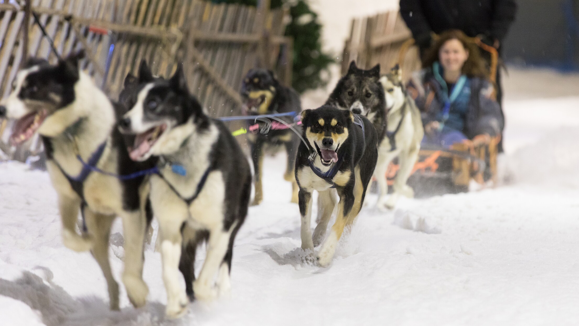 Winter World Ice Bar & Helsinki Sightseeing | Disney Cruise Line