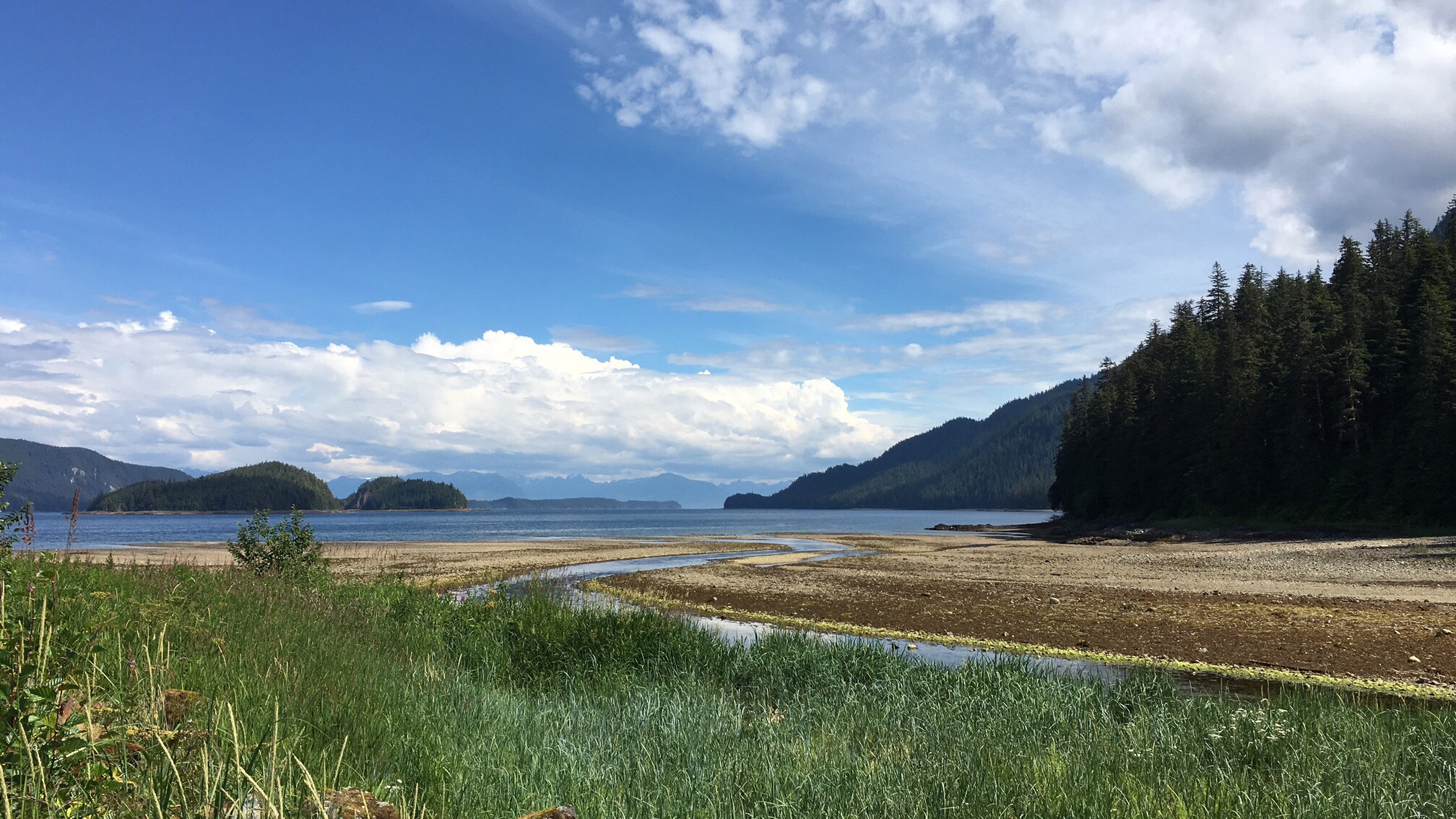 Chichagof Island Jeep Guided Tour | Disney Cruise Line