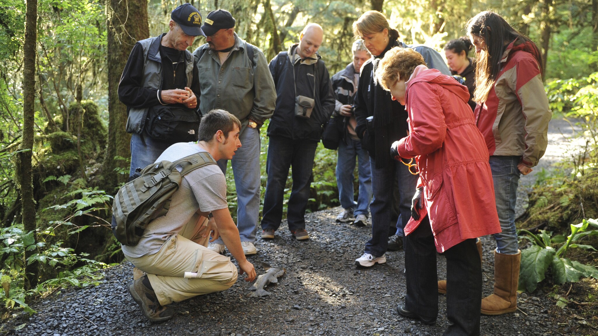 Alaskan Black Bear & Wildlife Exploration (Seasonal) | Disney Cruise Line