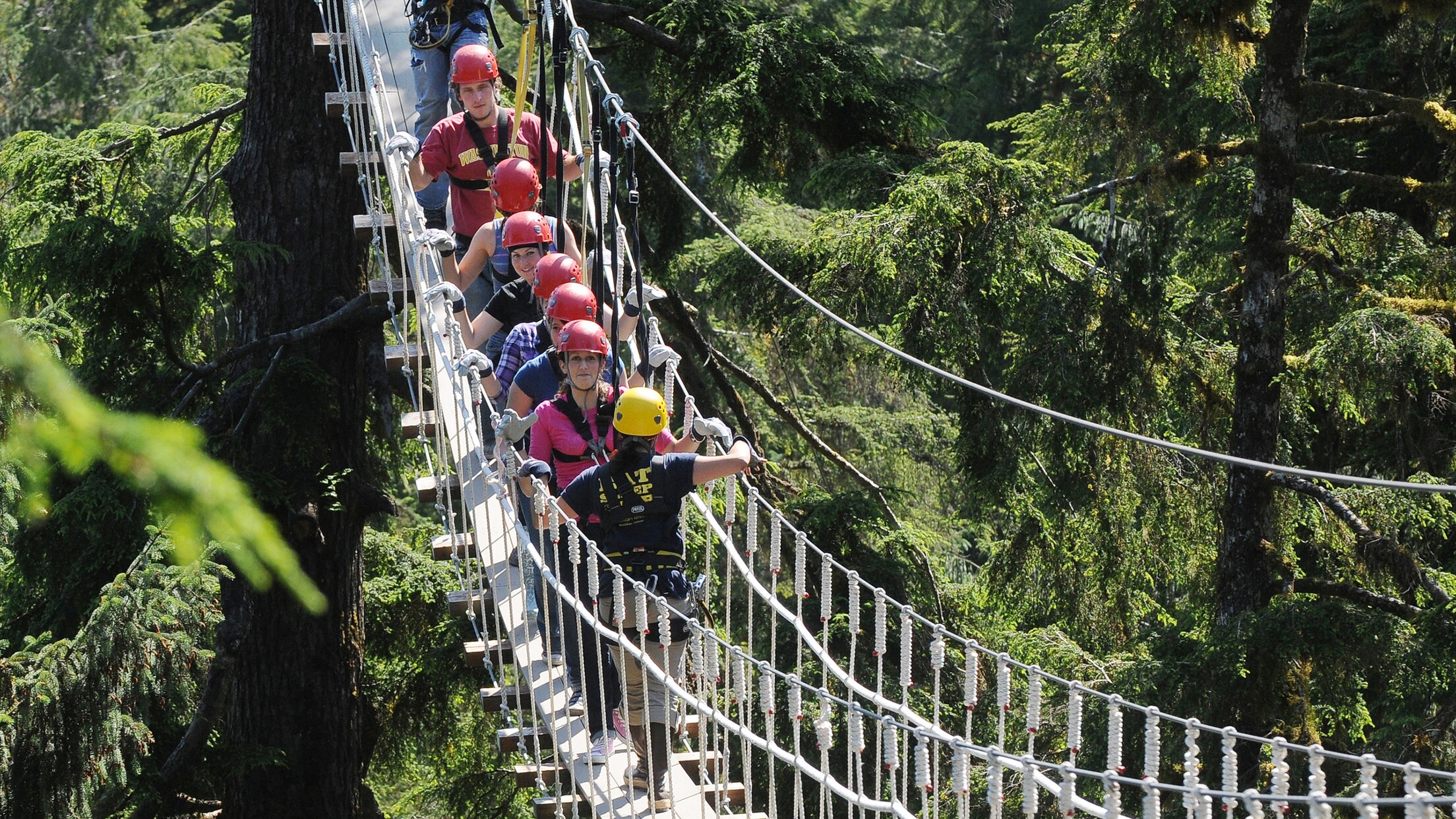 Ketchikan Zipline Tour in Alaska | Port Adventures | Disney Cruise Line