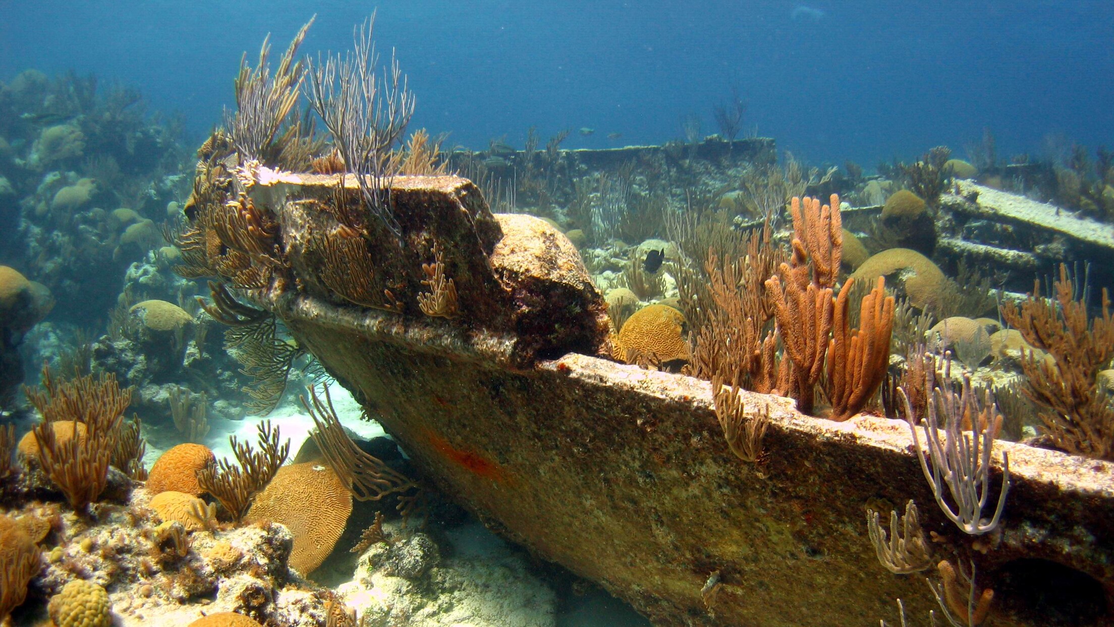 Bermuda Triangle Shipwreck Snorkeling | Disney Cruise Line