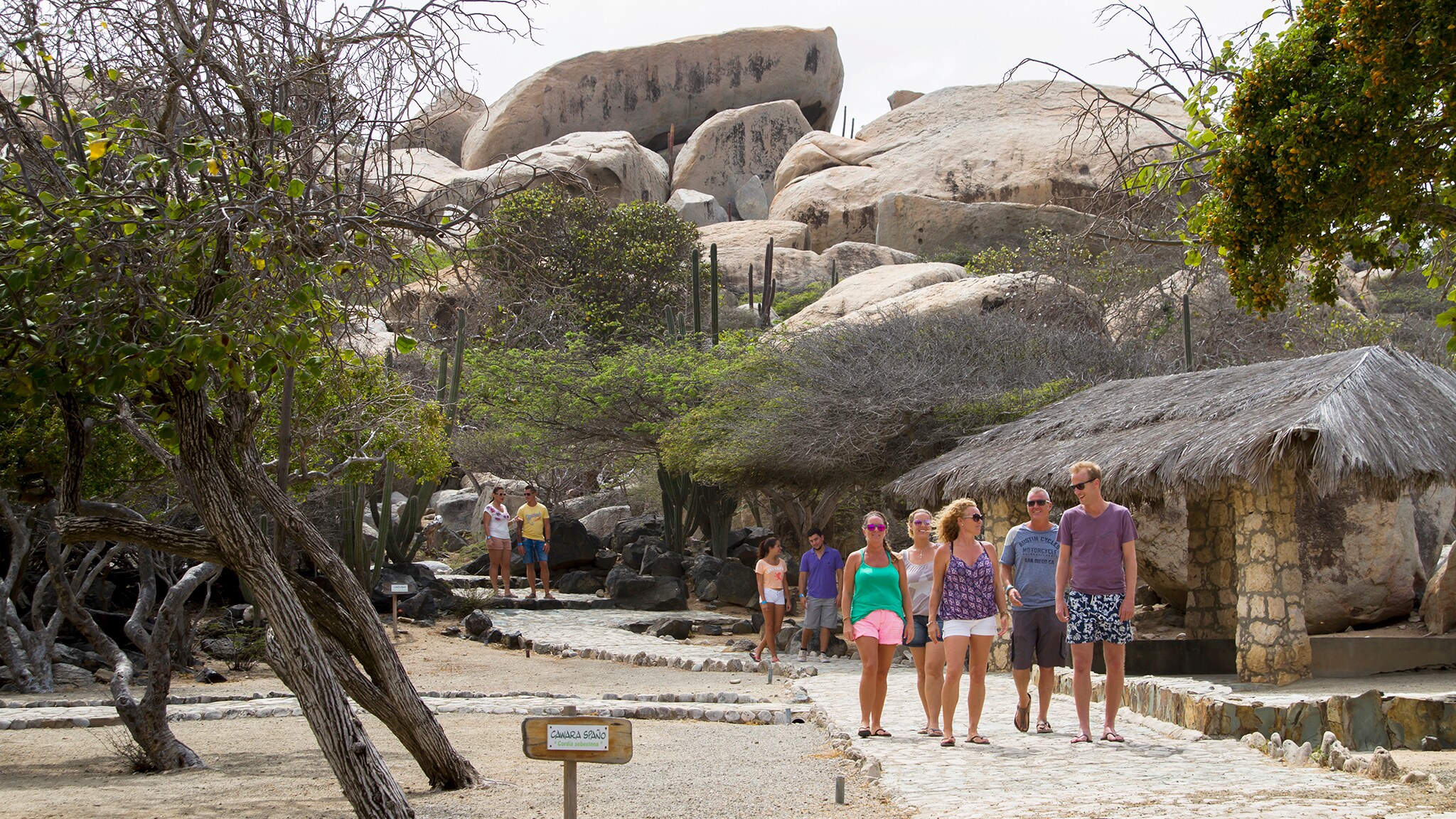 Aruba Butterfly Farm & Nature Tour | Disney Cruise Line