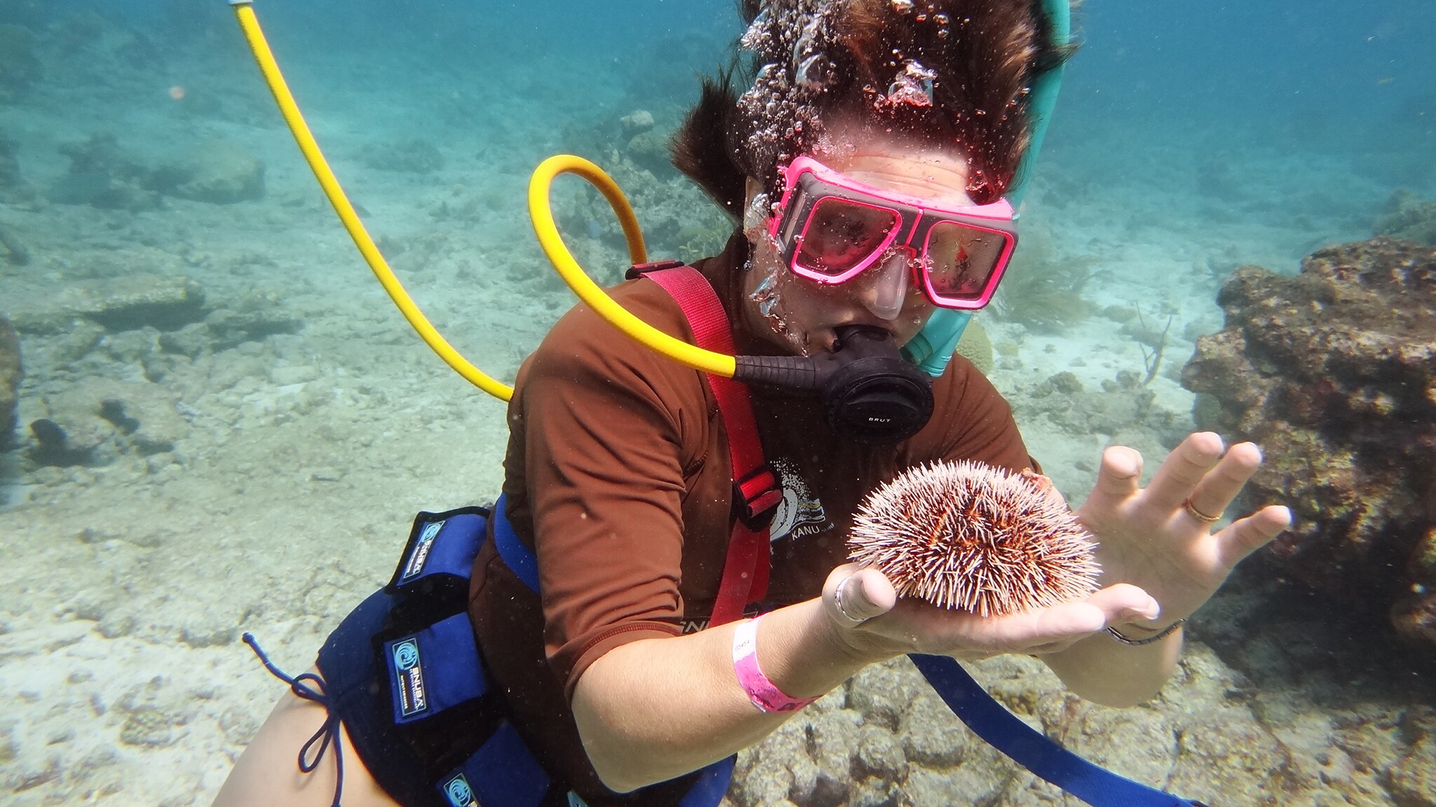 Snuba & De Palm Island Beach Day | Disney Cruise Line
