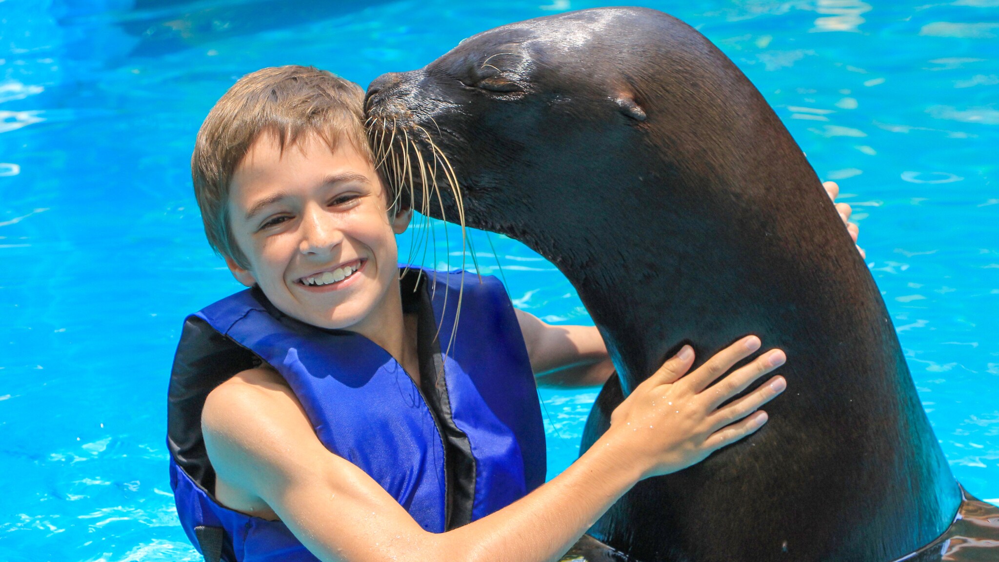 Sea Lion Encounter in Puerto Vallarta | Disney Cruise Line