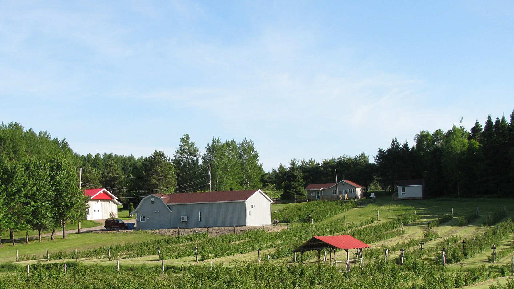 Wine & Cheese in Saguenay Blueberry Country Excursion | Disney Cruise Line