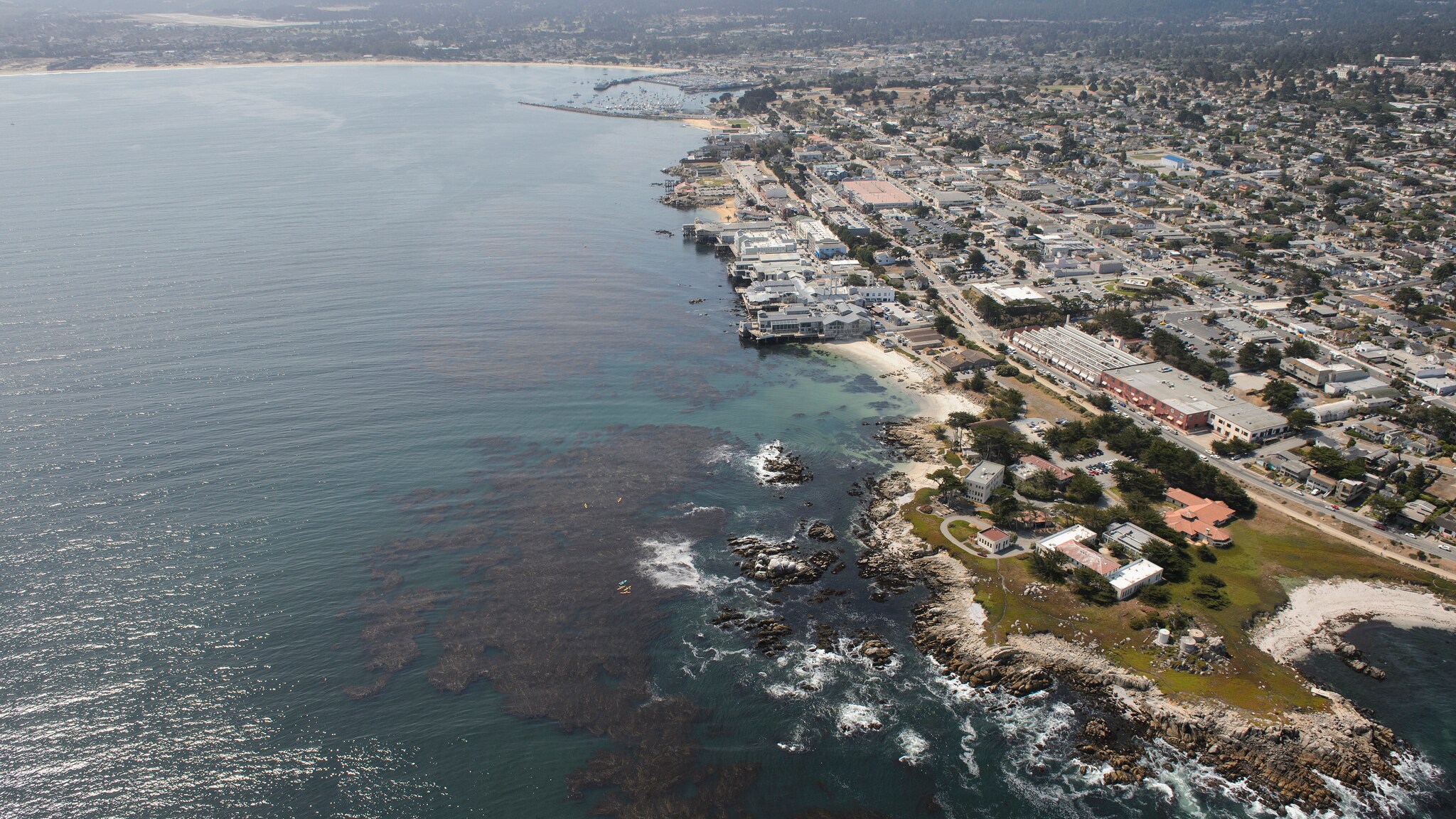 Tour of Monterey and Carmel | Disney Cruise Line