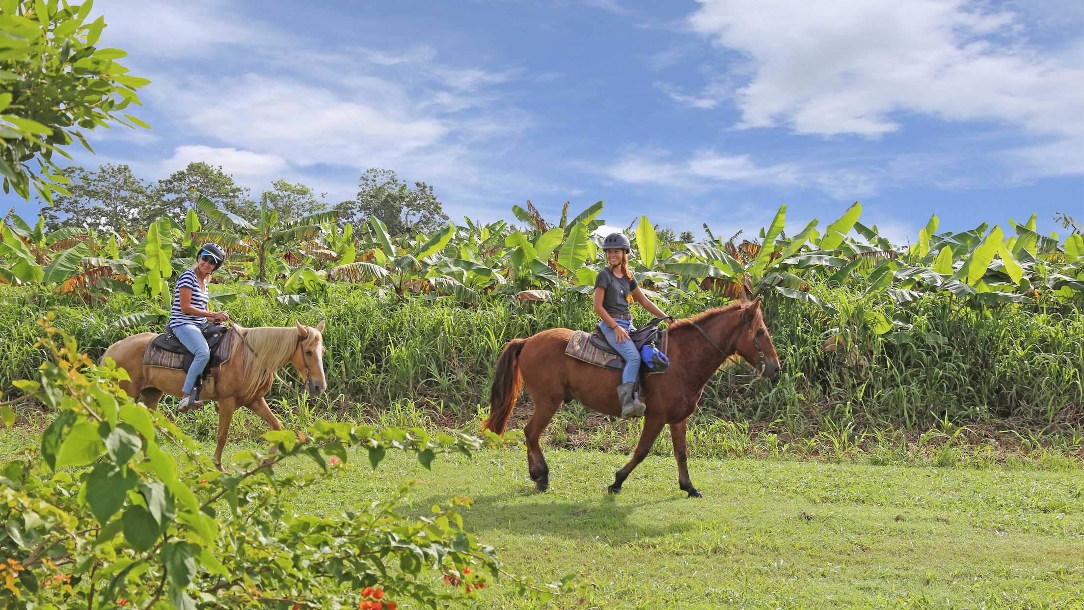 San Juan Horseback Riding Adventure | Disney Cruise Line