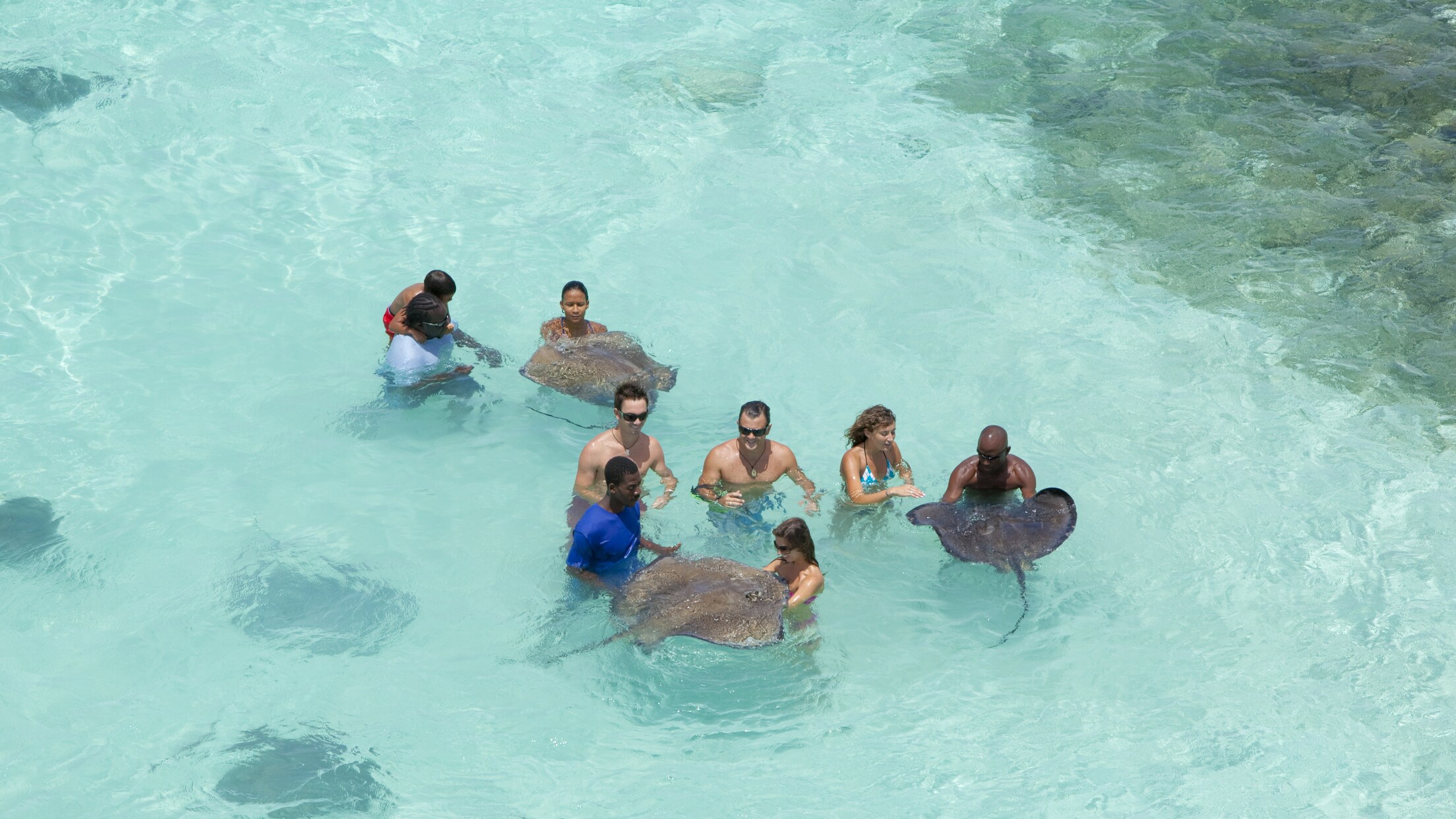Antigua Stingray City and Kayak Adventure | Disney Cruise Line
