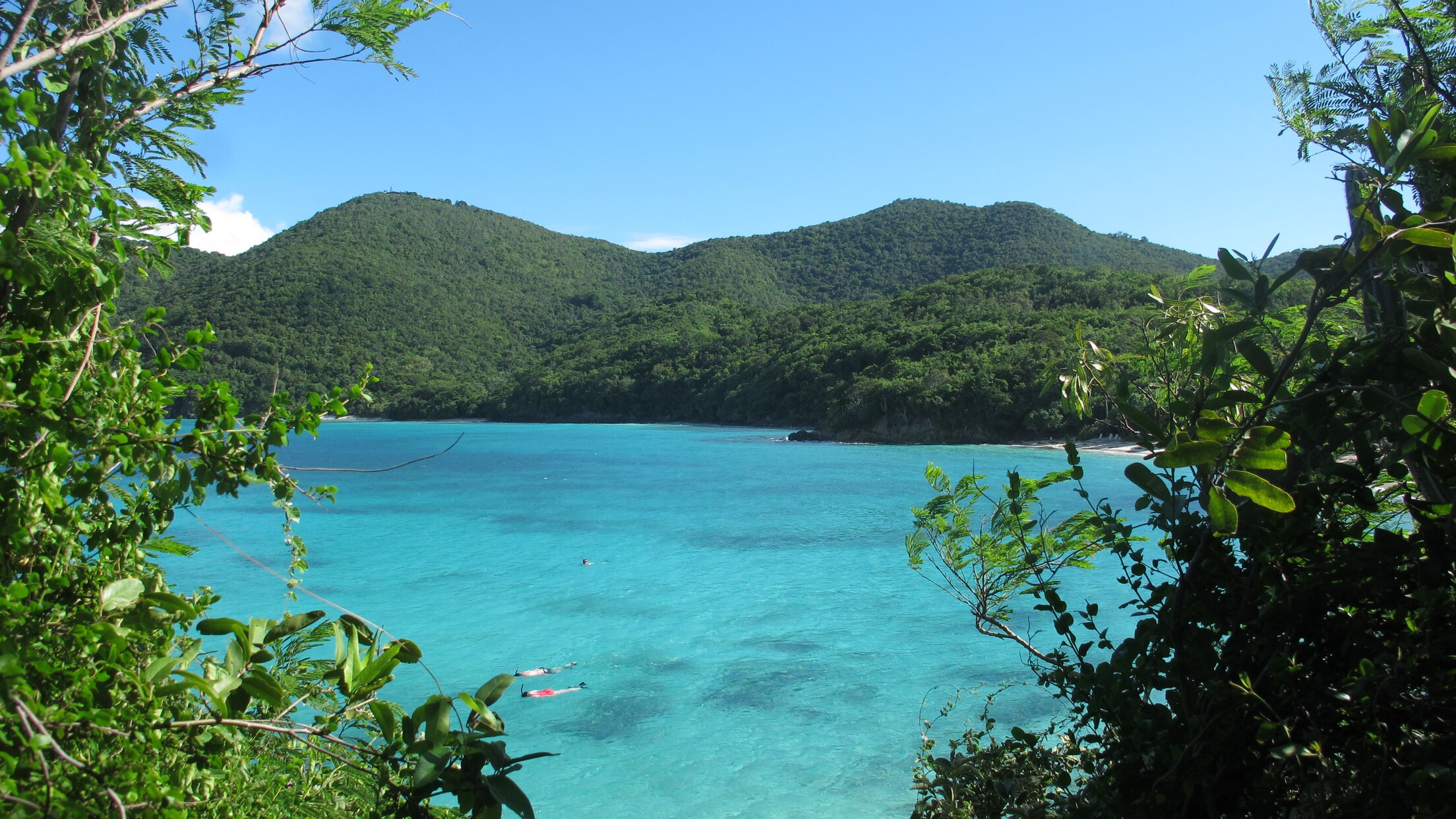 St. John Eco Hike | Disney Cruise Line