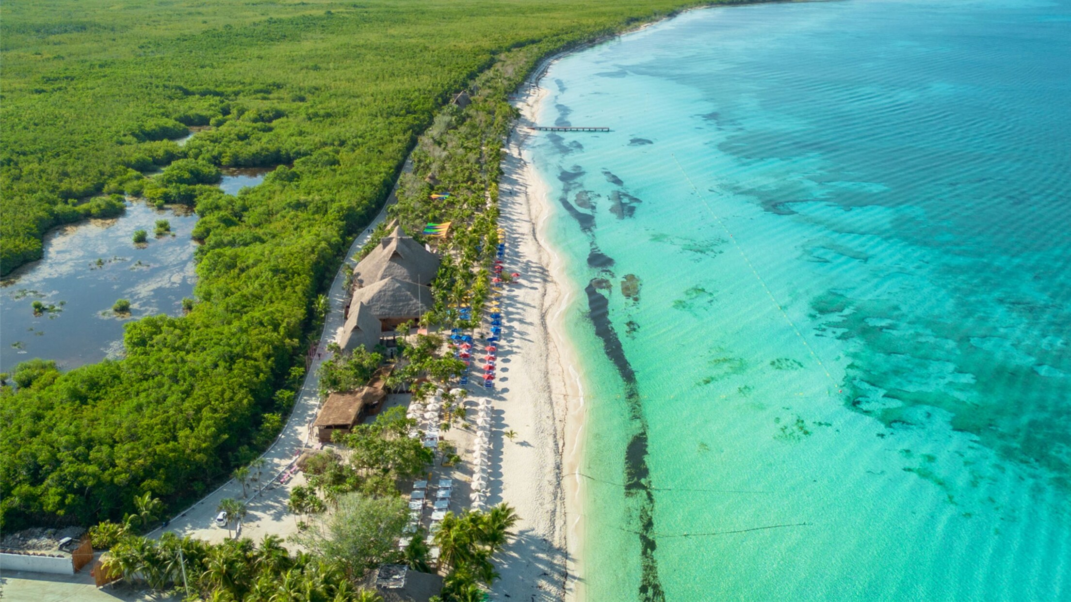 Dolphin Encounter & Kuza Beach Day in Cozumel | Port Adventures ...