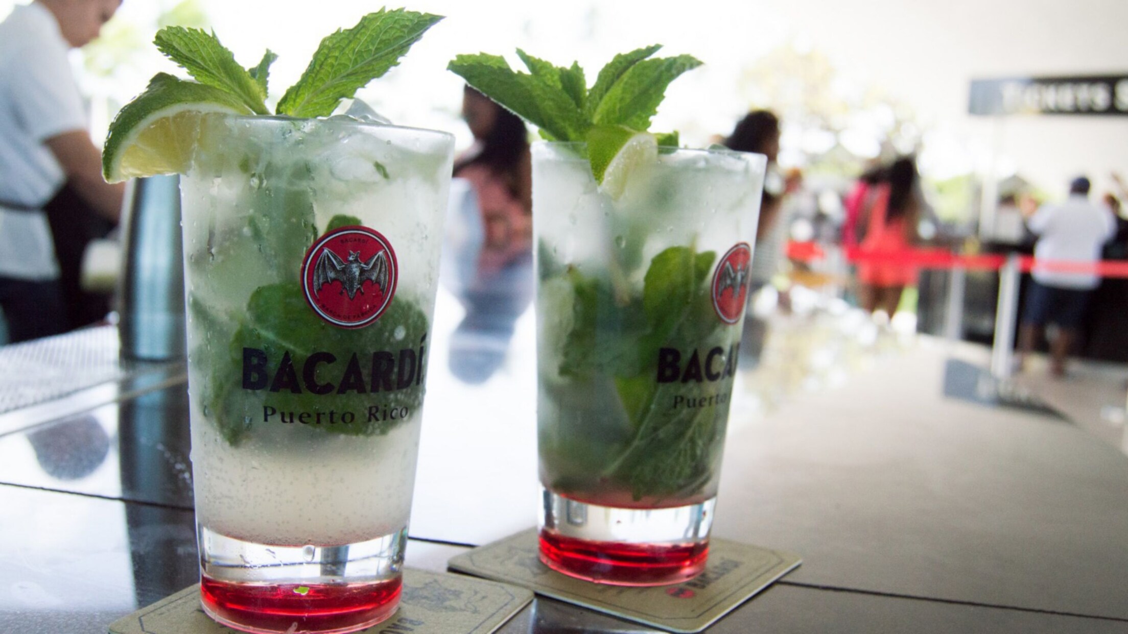 Rum Tasting Tour at Casa Bacardí in Puerto Rico | Port Adventures ...