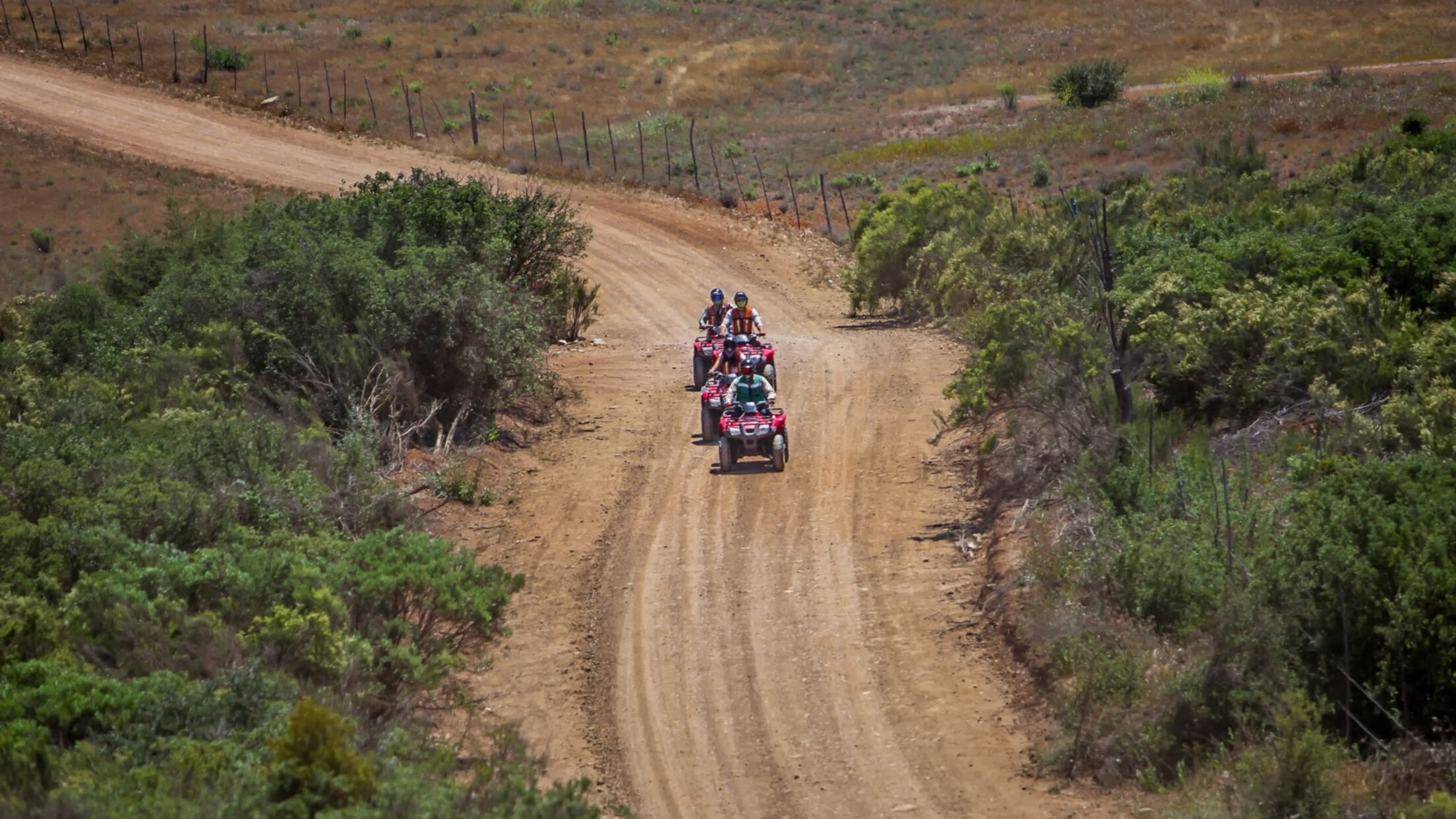 Guadalupe Valley ATV Adventure | Disney Cruise Line