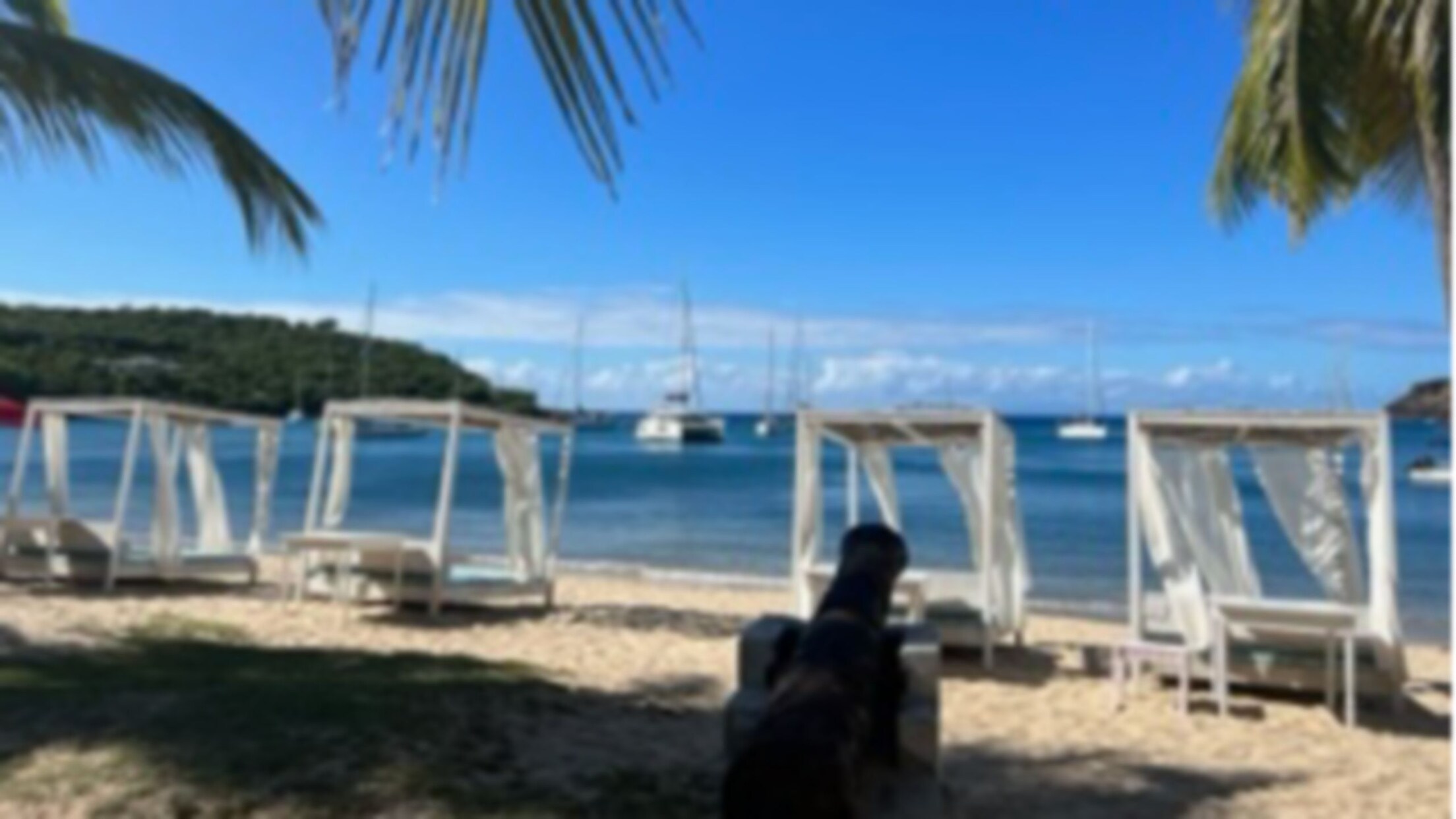 Antiguan Rum-Making Class | Port Adventures | Disney Cruise Line