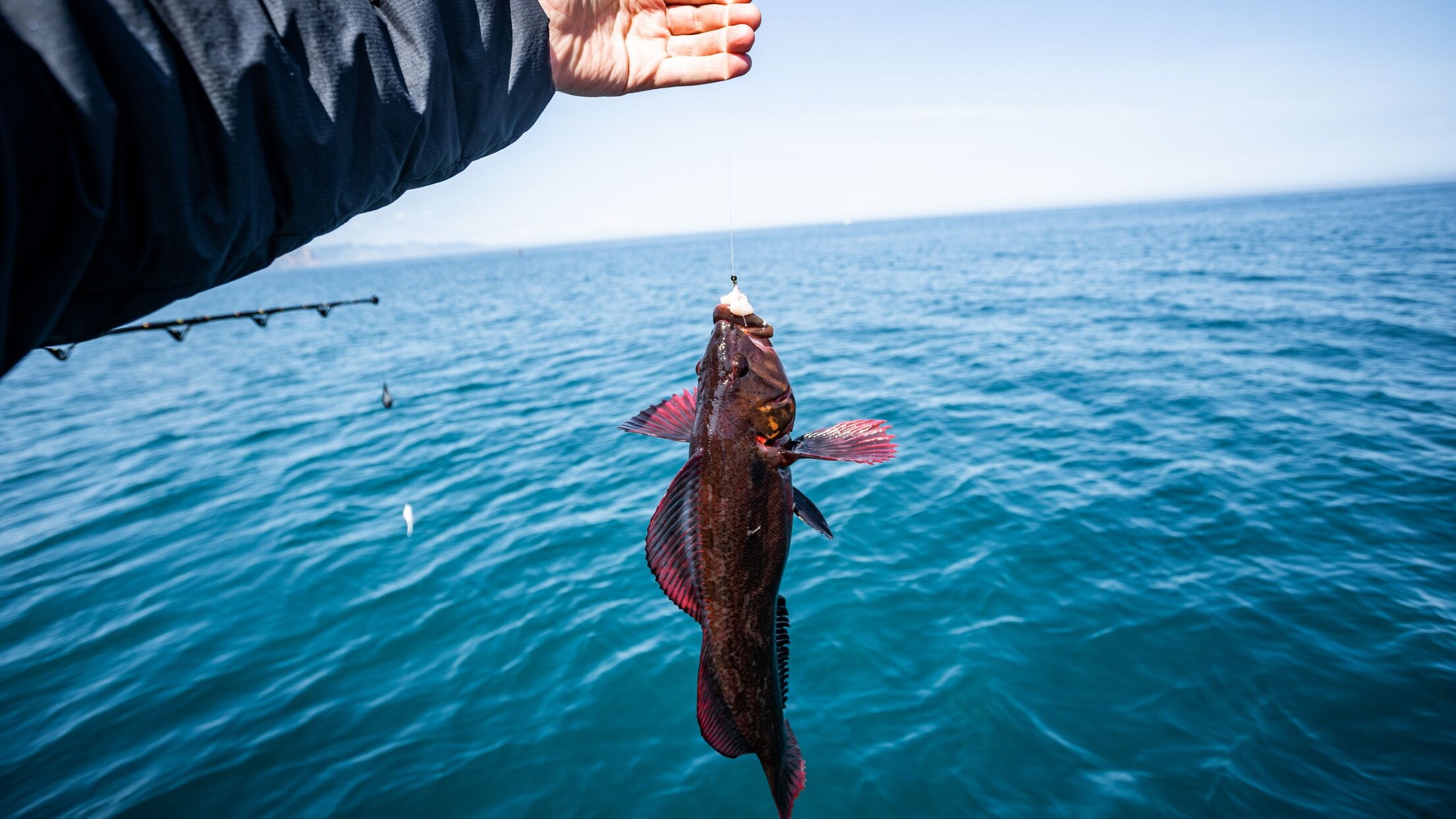 Castaway Cay Fishing Adventure | Disney Cruise Line