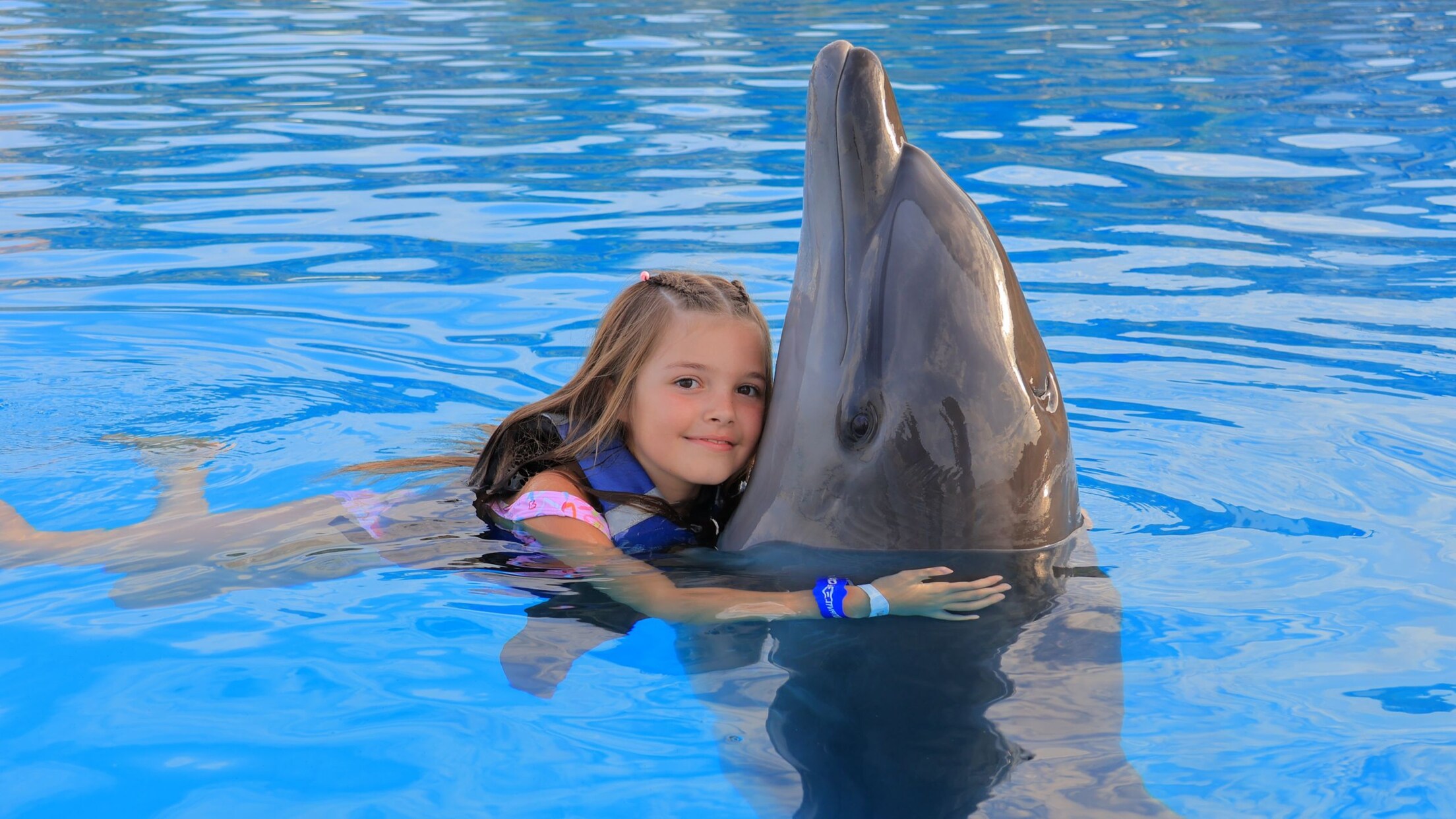 Cabo San Lucas Dolphin Swim | Disney Cruise Line