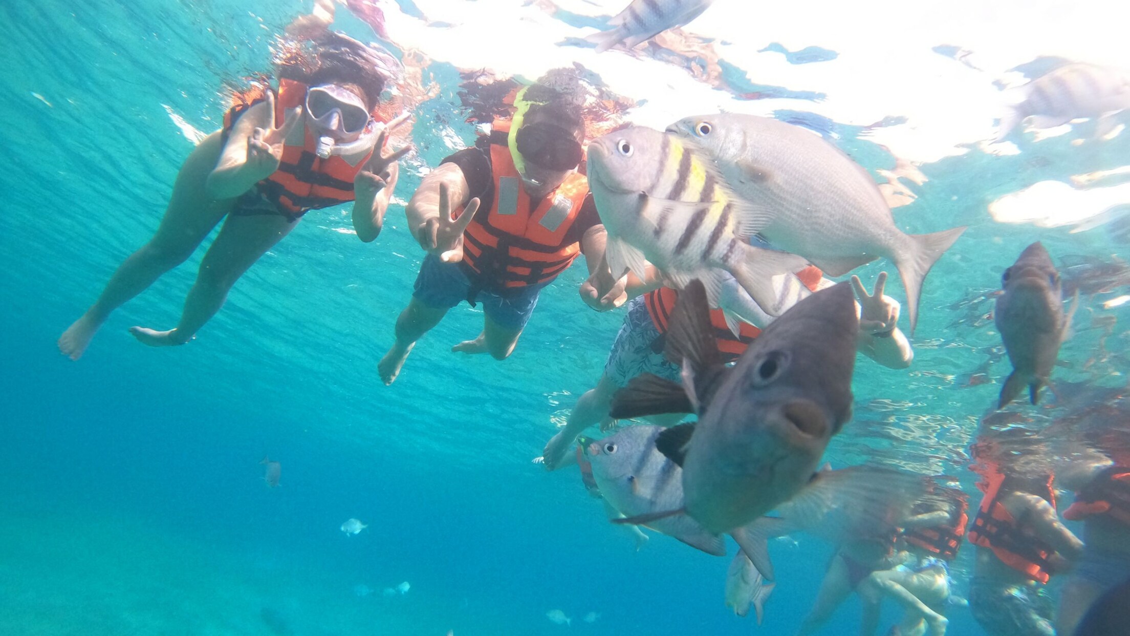 Clear Bottom Boat Tour in Cabo | Port Adventures | Disney Cruise Line