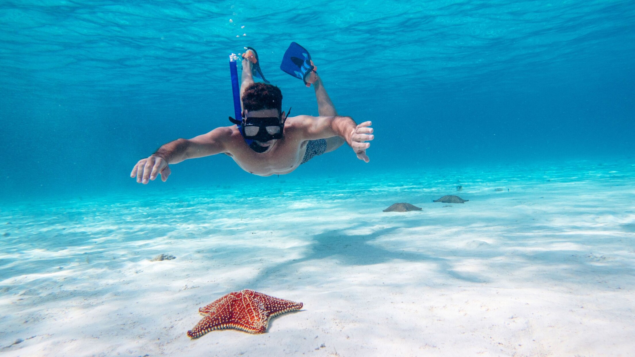 Snorkeling at El Cielo Marine Park, Mexico | Port Adventures | Disney ...