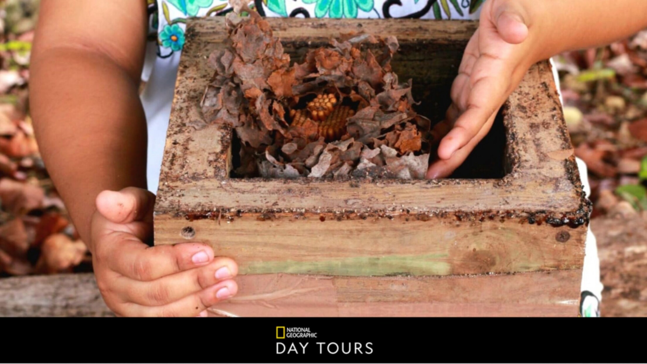 Beekeeping & Chocolate Tour | Port Adventures | Disney Cruise Line