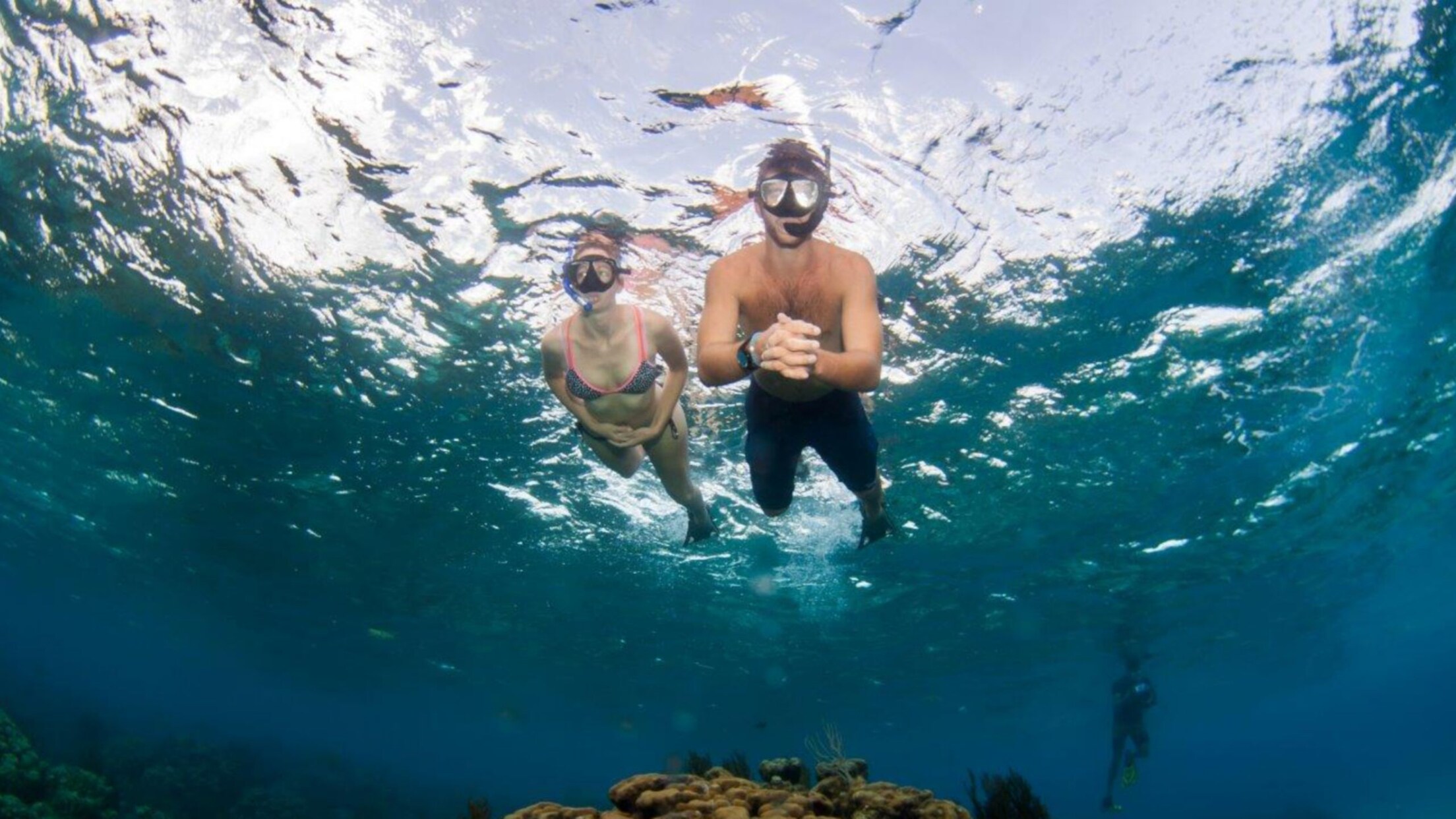 Stingray Sandbar and Reef Sail | Disney Cruise Line