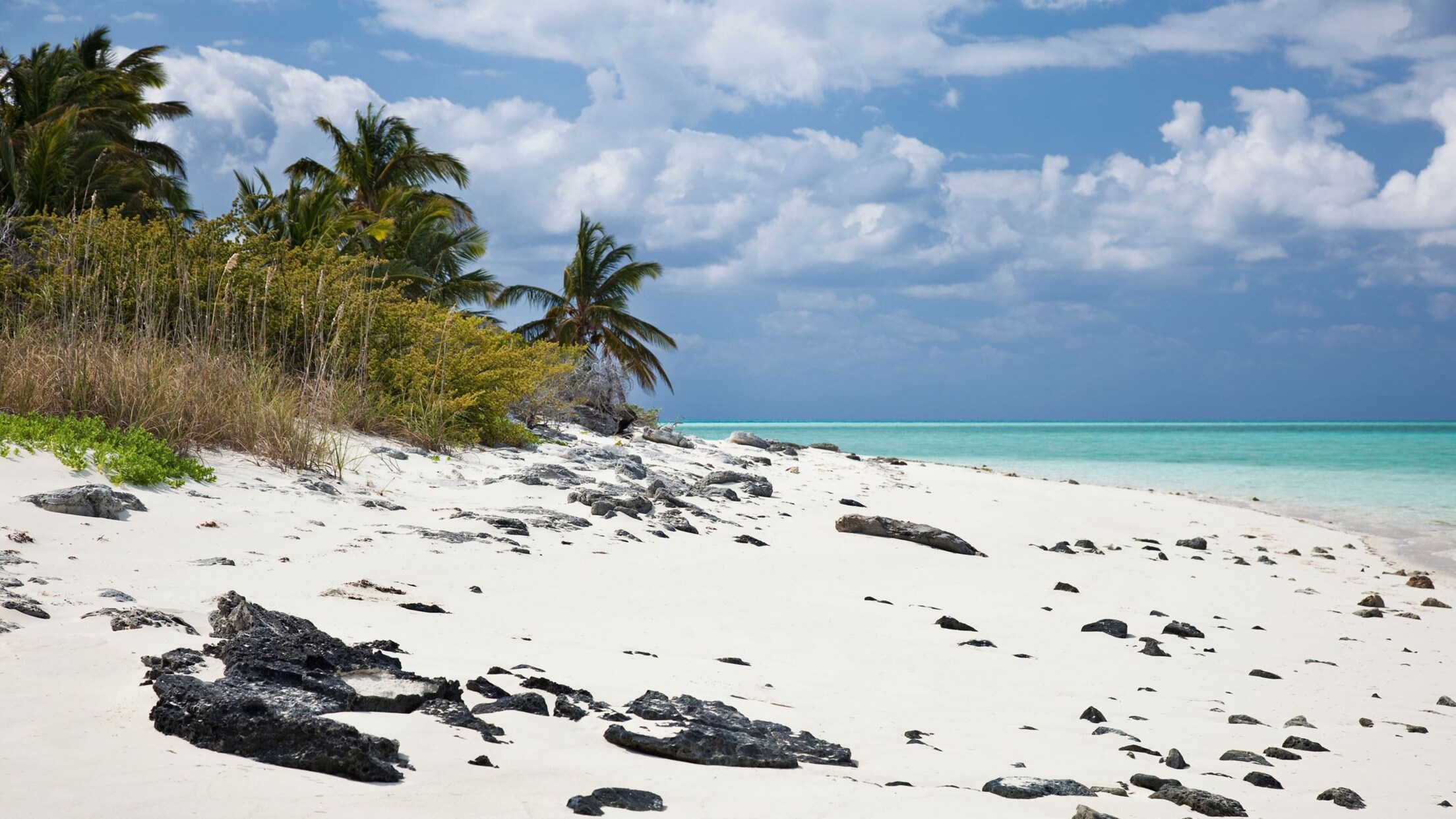 Gaulding Cay Off-Road Buggy Tour | Port Adventures | Disney Cruise Line