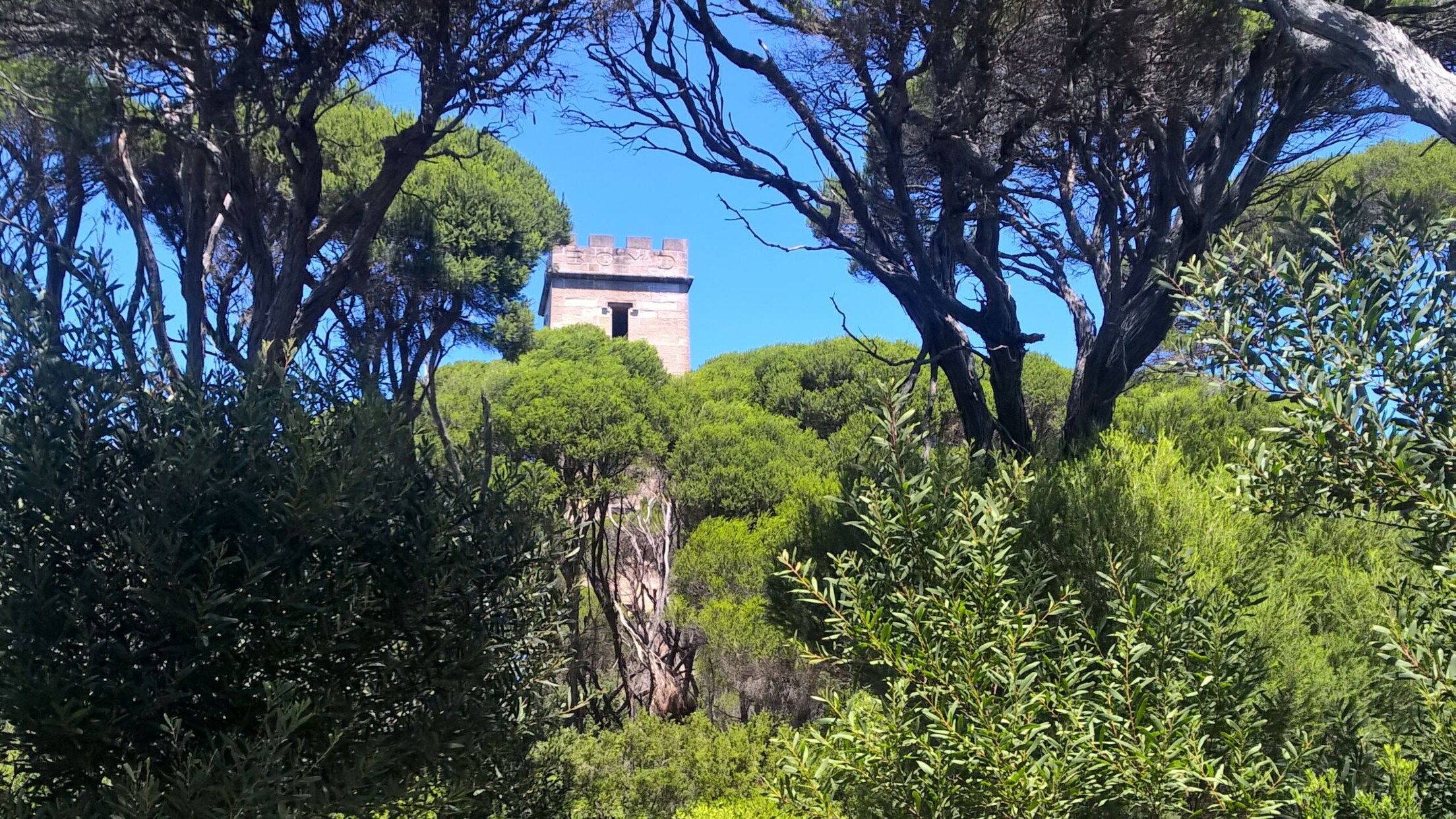 Beowa National Park Tour | Port Adventures | Disney Cruise Line