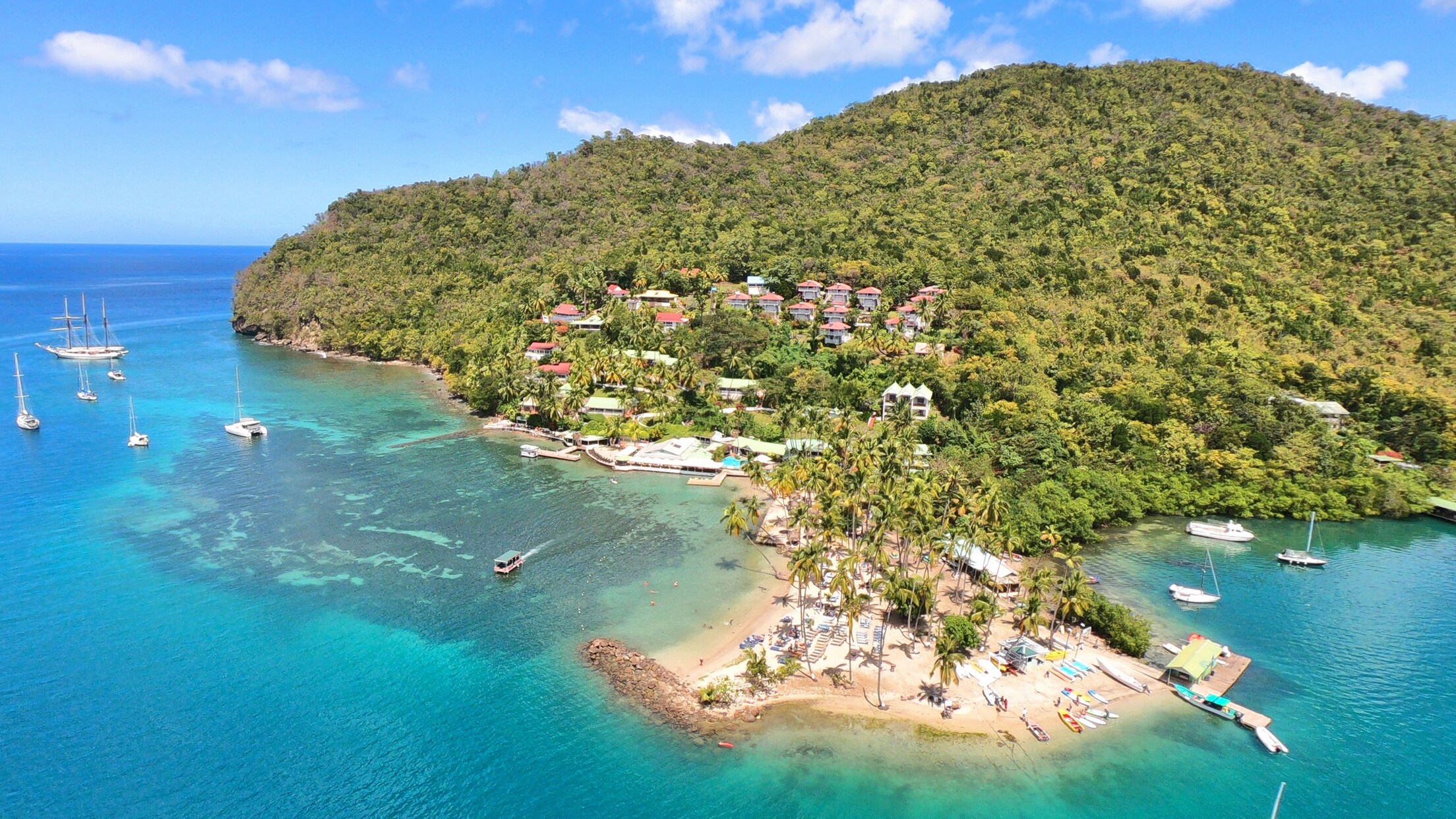 St. Lucia: Aerial Tram Tour at Rainforest Adventures | Port Adventures ...