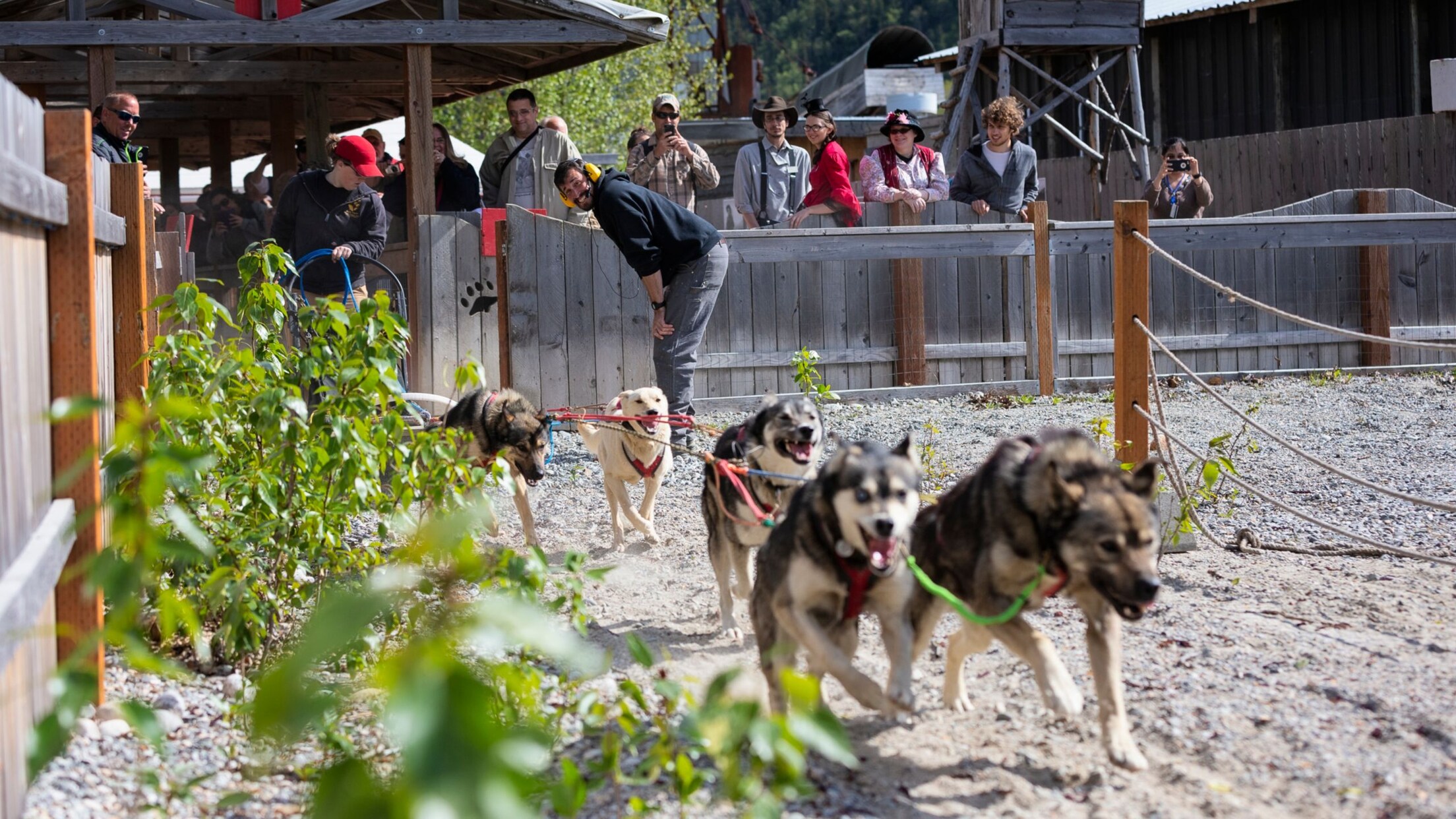 Big Nugget: Go Panning For Gold in Alaska | Disney Cruise Line