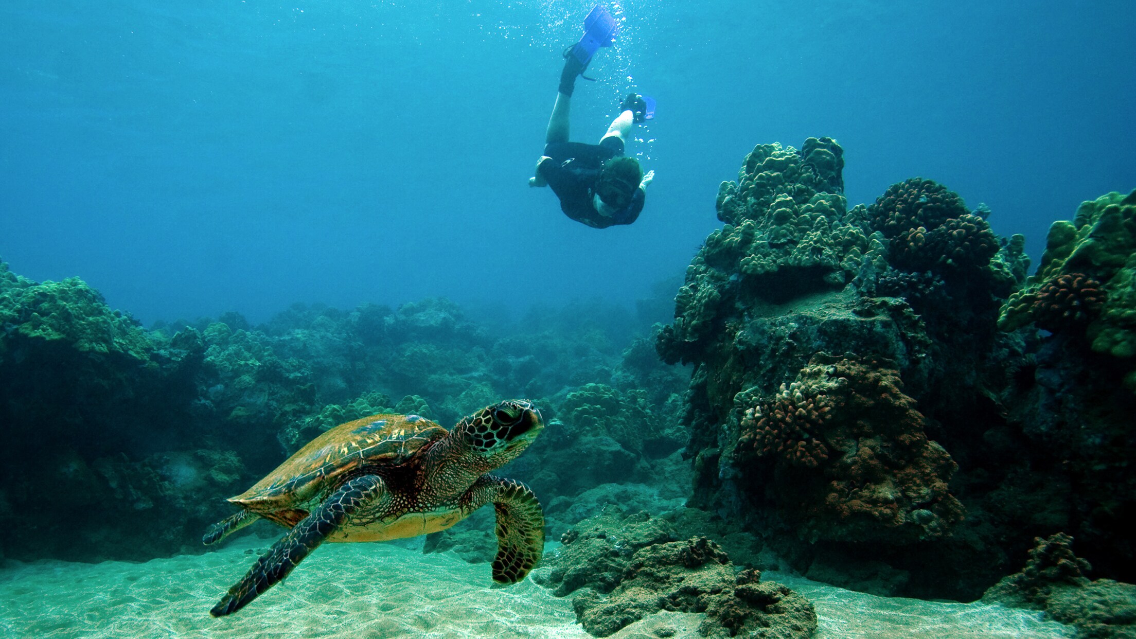 Kahului, Hawai'i | Ports of Call | Disney Cruise Line