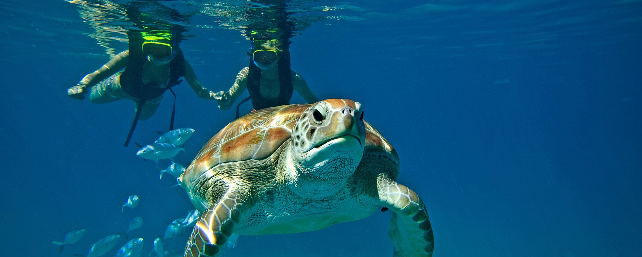 Caribbean Cruise Itineraries | Disney Cruise Line