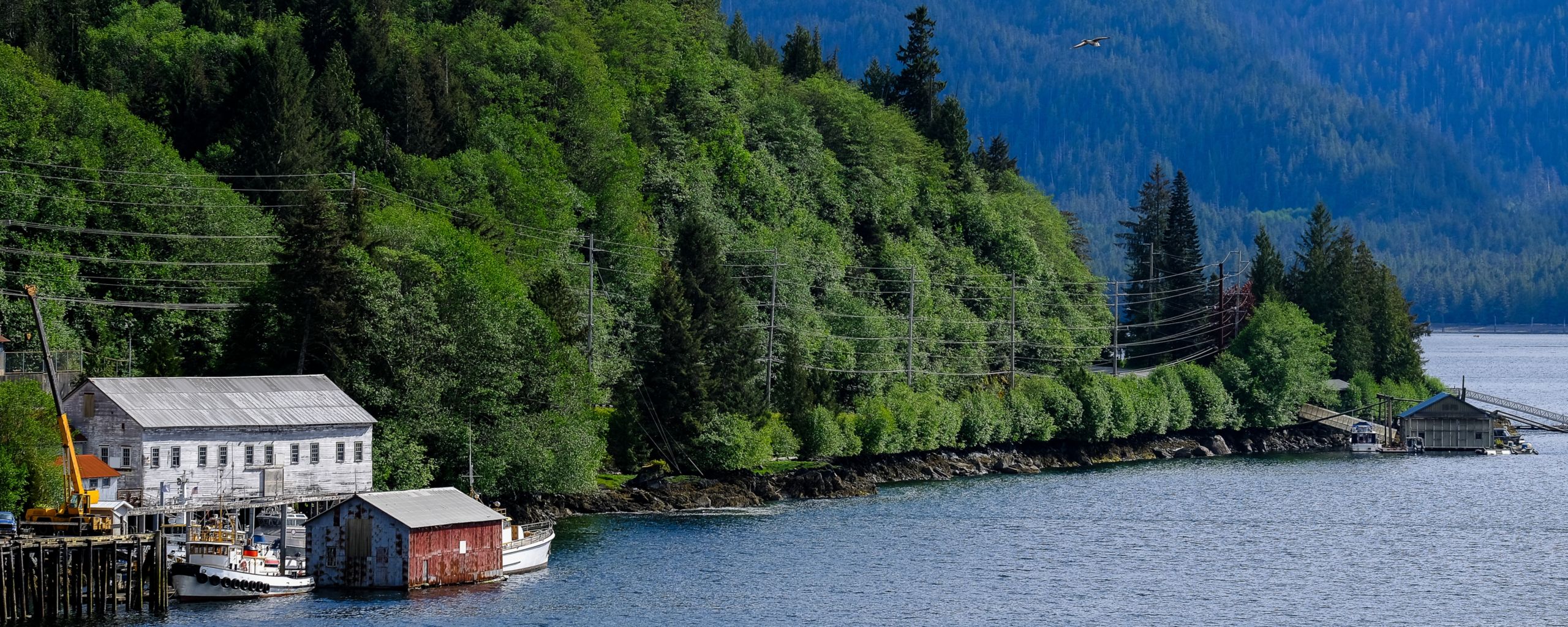 Ward Cove, Ketchikan: Port of Call on Alaskan Cruises | Disney Cruise Line