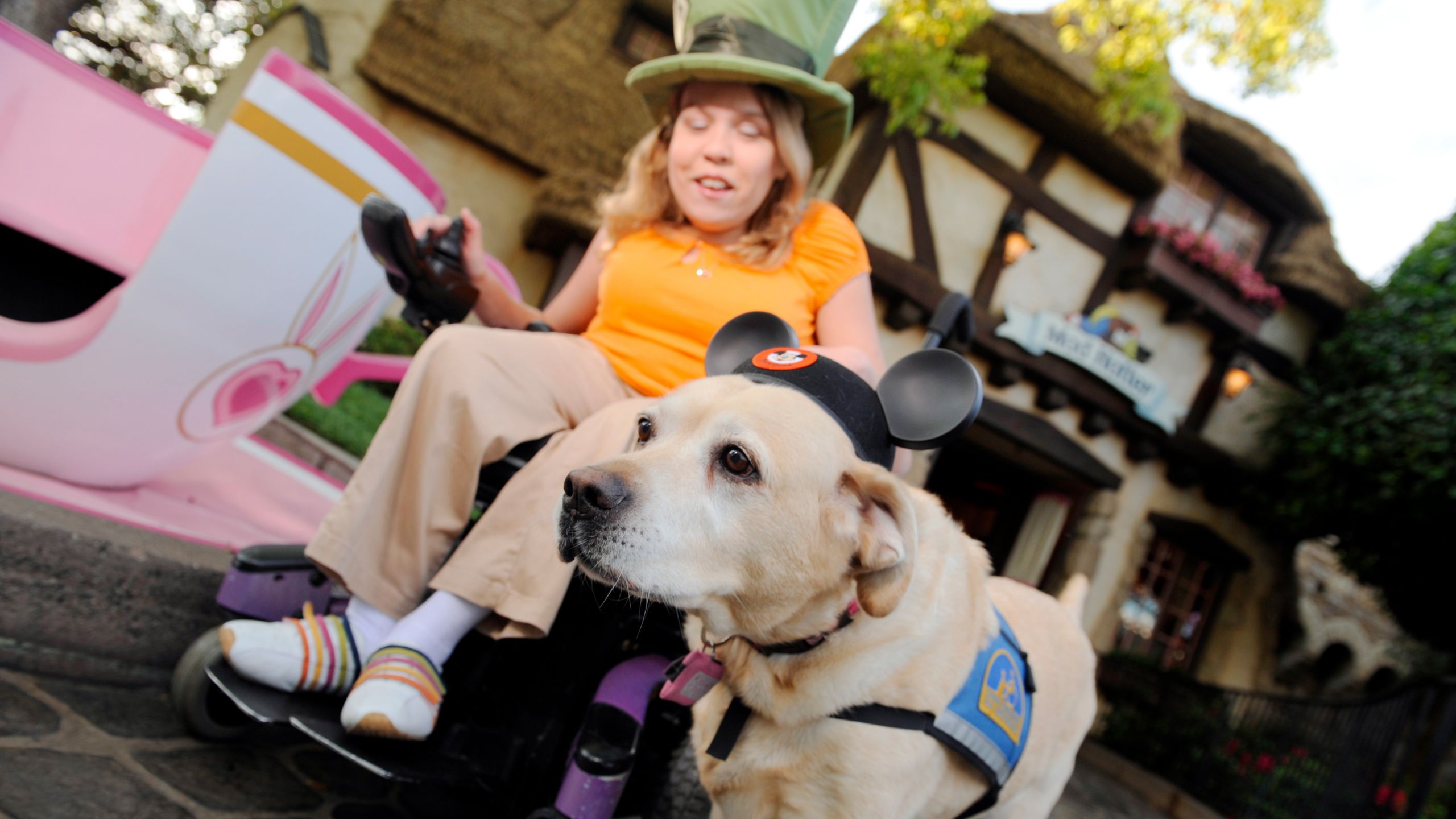 Services for Guests with Service Animals at Disneyland Resort ...