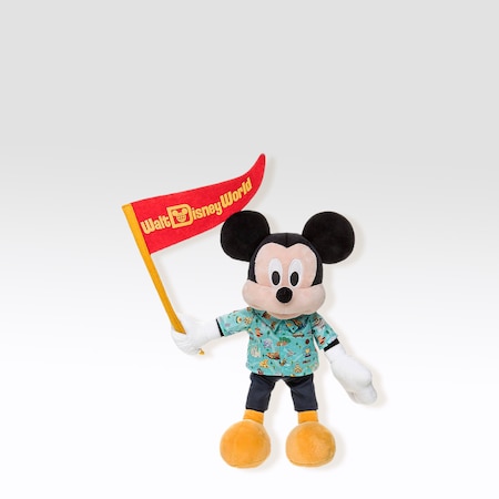 Walt Disney World Resort in Orlando, Florida