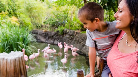 Explore Disney’s Animals | Walt Disney World Resort