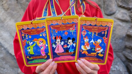 Magic Key Benefits & Extras Unlocked | Disneyland Resort