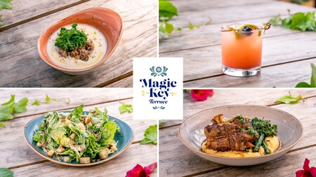 Magic Key Benefits & Extras Unlocked | Disneyland Resort