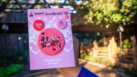 Magic Key Benefits & Extras Unlocked | Disneyland Resort