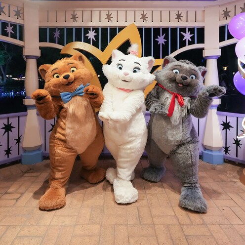 Magic Access Benefits | Hong Kong Disneyland Resort