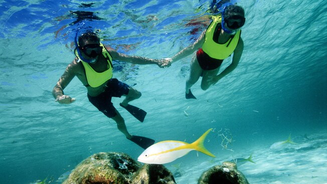 Castaway Snorkeling with Stingrays | Disney Cruise Line