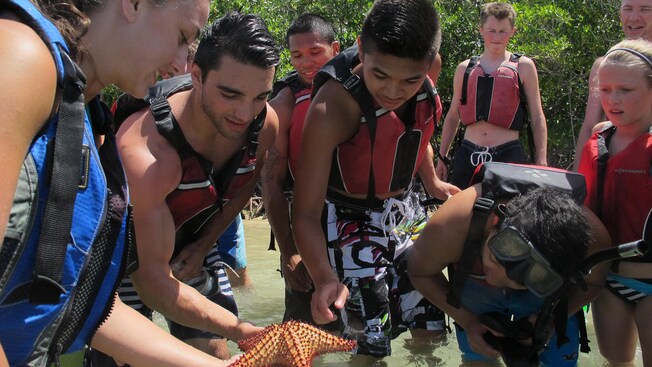 Kayak, Hike & Snorkel of Cas Cay | Disney Cruise Line