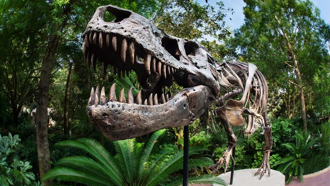 Dino-Sue | Animal Kingdom Attractions | Walt Disney World Resort