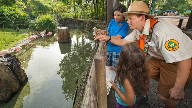 Wilderness Explorers | Animal Kingdom Attractions | Walt Disney World ...