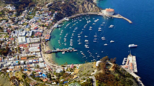 Avalon Tour on Catalina Island | Port Adventures | Disney Cruise Line