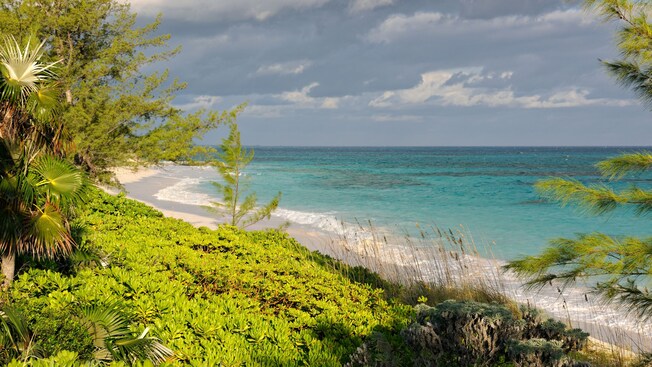 Gaulding Cay Off-Road Buggy Tour | Port Adventures | Disney Cruise Line