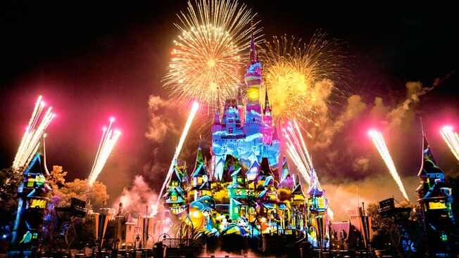 Disney World Enchanting Extras