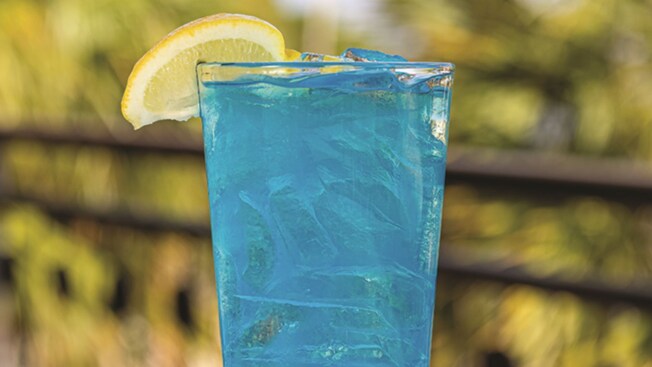 Food & Beverage Offerings: Disney Springs Flavors of Florida presented ...