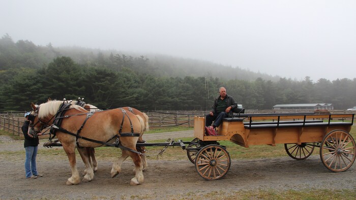 Acadia National Park & Carriage Ride | Disney Cruise Line