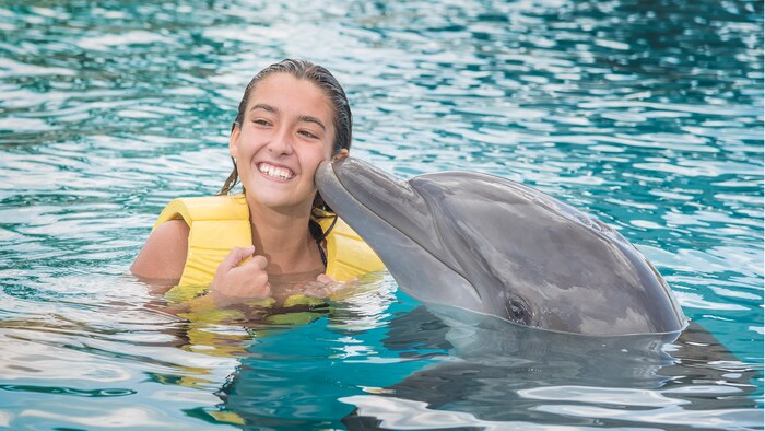 Swim with Dolphins at Dolphinaris | Disney Cruise Line