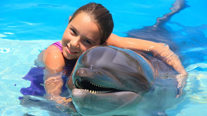 Little Dolphin Encounters for the Little Ones | Disney Cruise Line